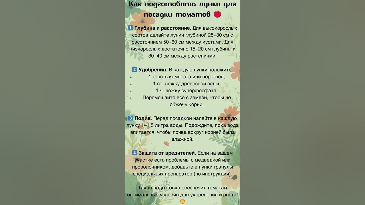 Как подготовить лунки для посадки томатов? - YouTube