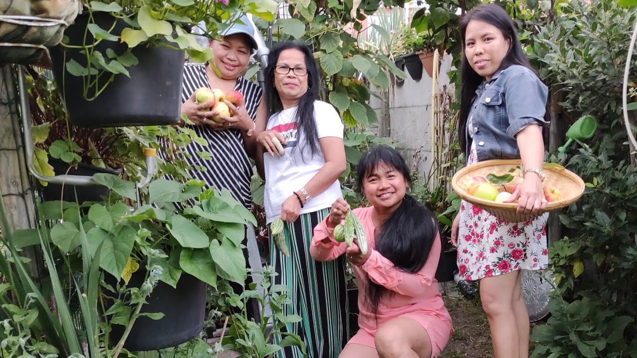my backyard with friends - YouTube