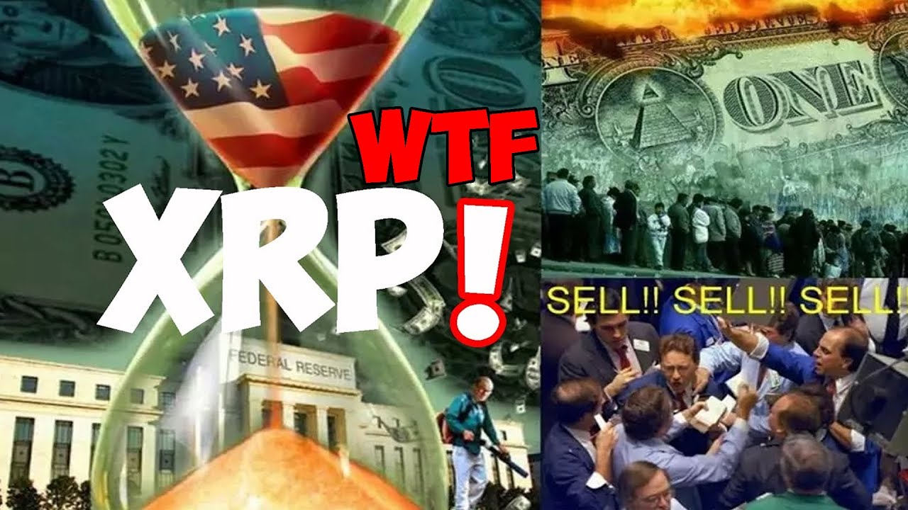 Ripple XRP DAVID SCHWARTZ JUST CONFIRMED MR POOL AND OUR MASTER ...