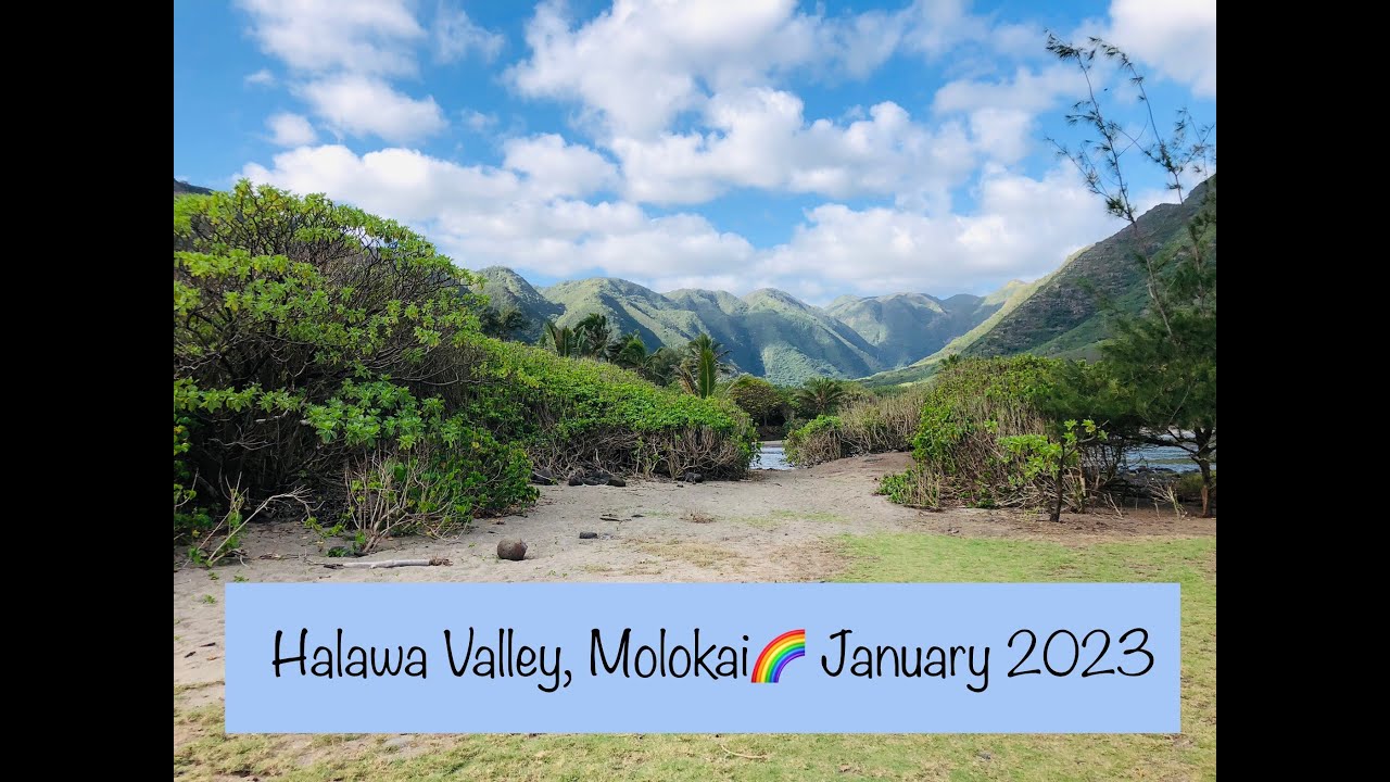 Halawa Valley GUIDED hike- Molokai, Hawaii January 2023 🌴🙌🌈🥥 - YouTube