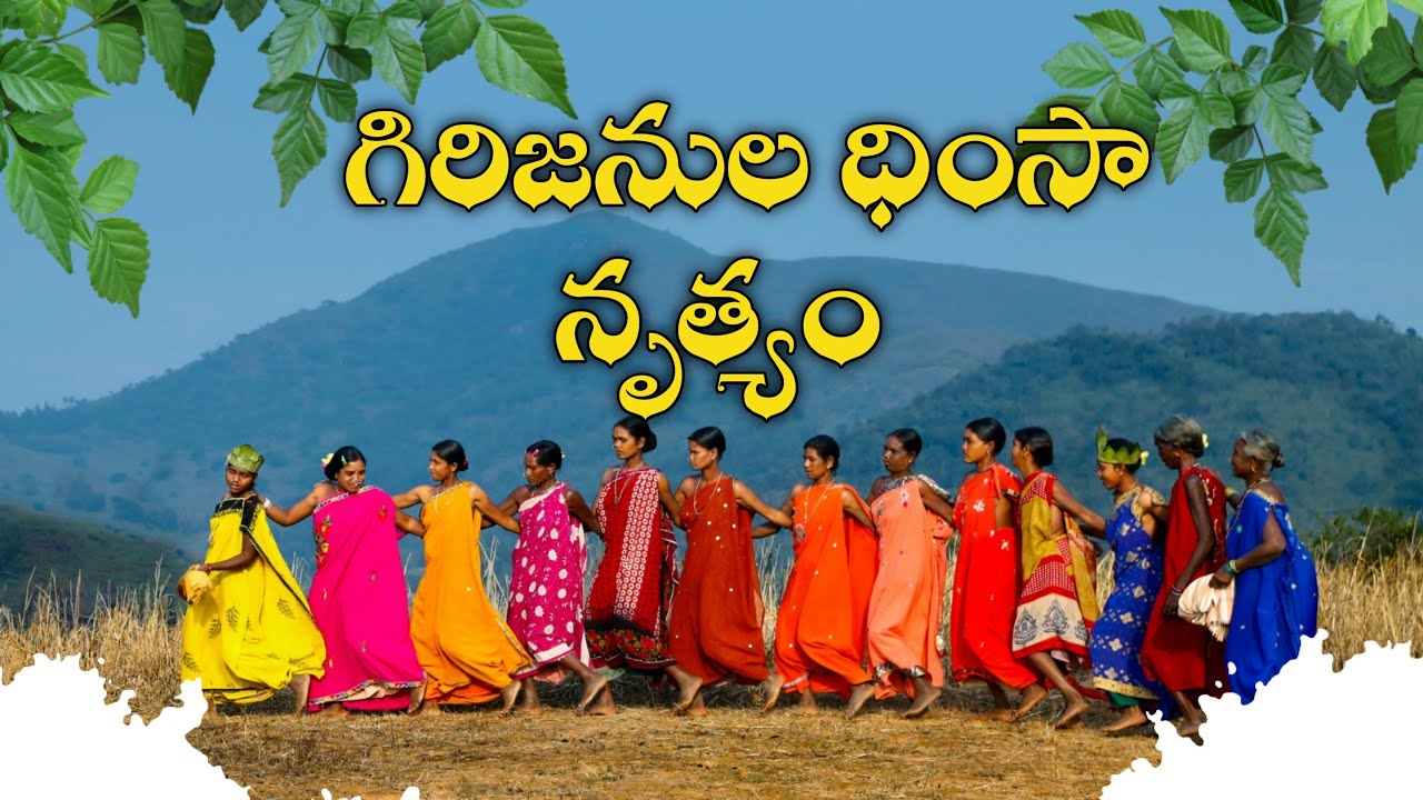 గిరిజనుల ధింసా నృత్యం Tribal dhimsa dance |dhimsa video| Paderu tribal ...