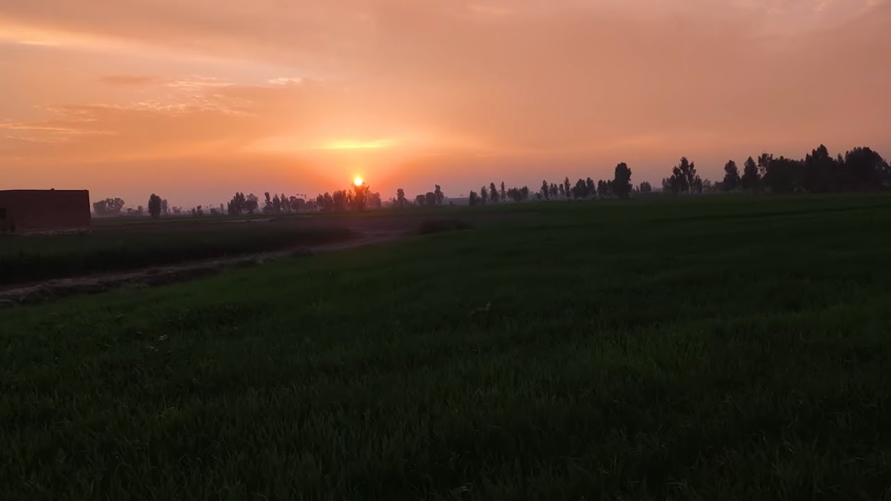 beautiful sunshine video - YouTube