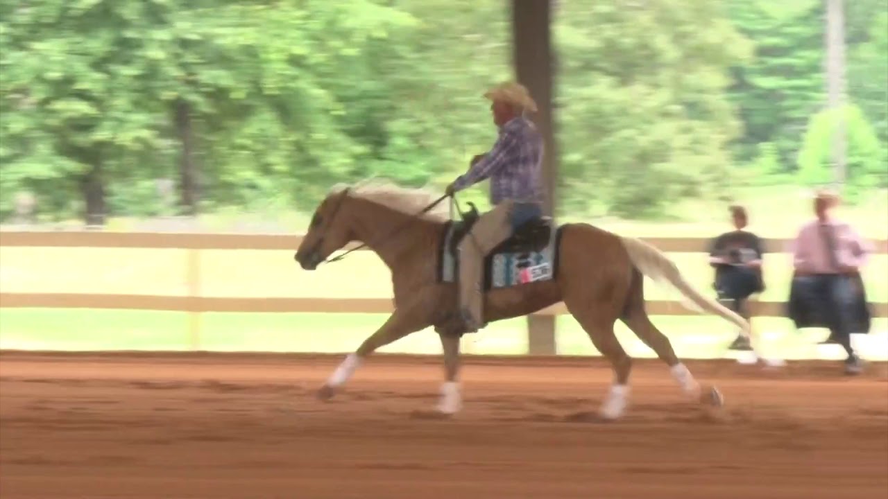 200606 NP Derby Ron Mahefkey on Wimpys Hotty Toddy - YouTube