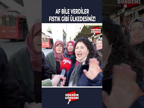 Hollanda'da Af Bile Yok! Çok Şanslısınız!