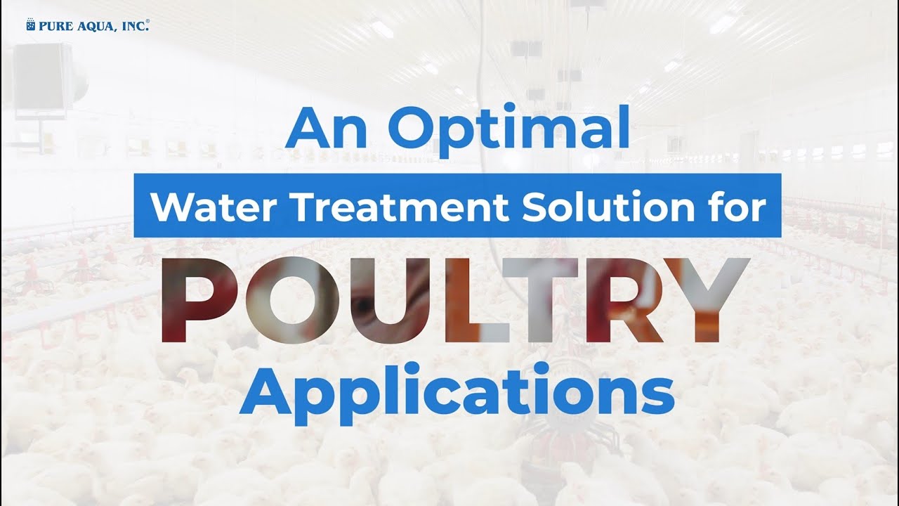 An optimal water treatment solution for Poultry applications | www ...