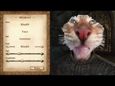 The Oblivion Meme Compilation (So Far)