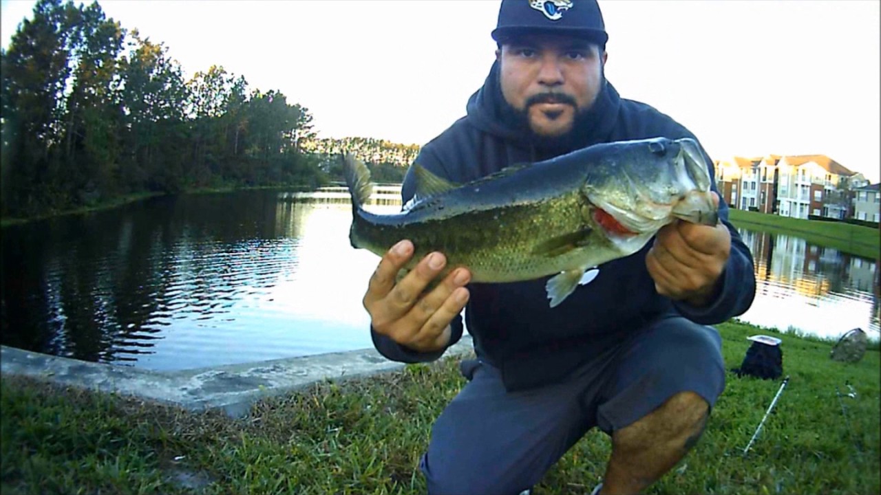 Early fall bass fishing with a texas rig / florida rig - YouTube