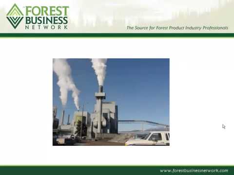 What Is The History Of Biomass Energy