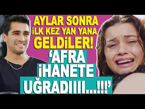 Beril Pozam Ersin Arıcı evlendi, Afra Saraçoğlu Mert Ramazan Demir düğünde yan yana geldi!
