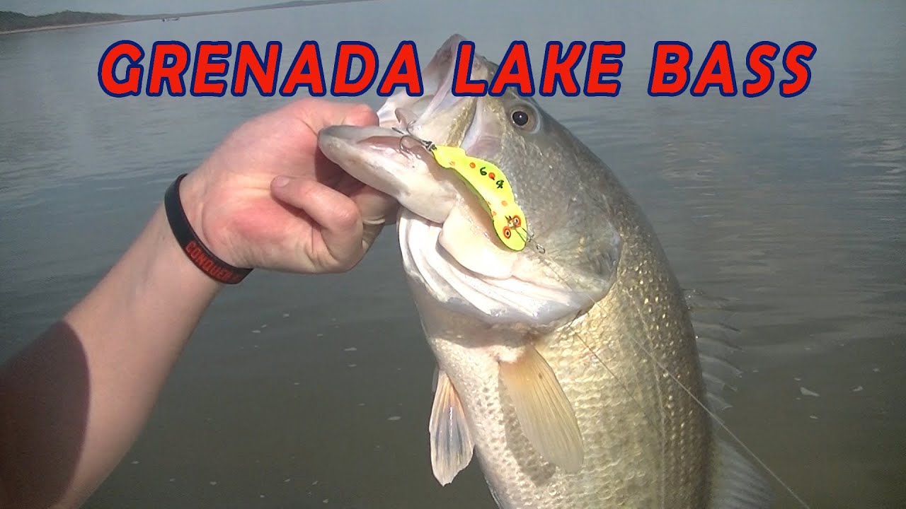 Bass in Grenada Lake Mississippi! - YouTube