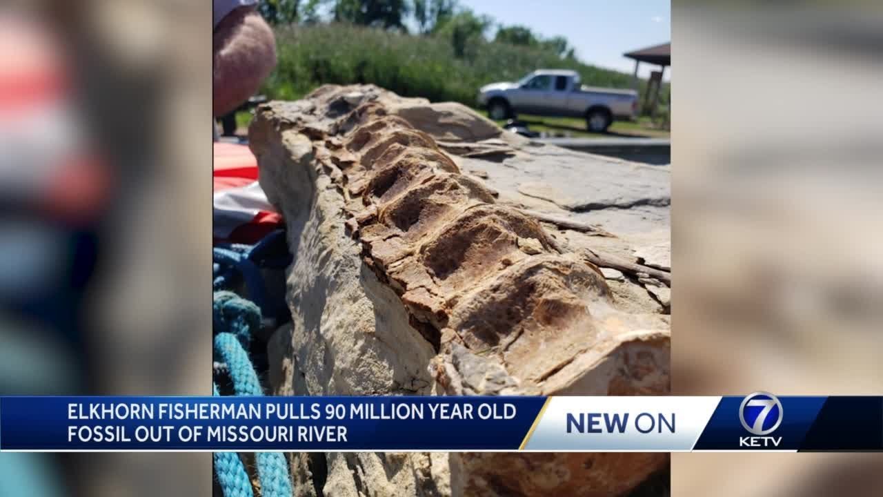 Elkhorn fisherman finds 90-million-year-old fossil in Missouri River ...