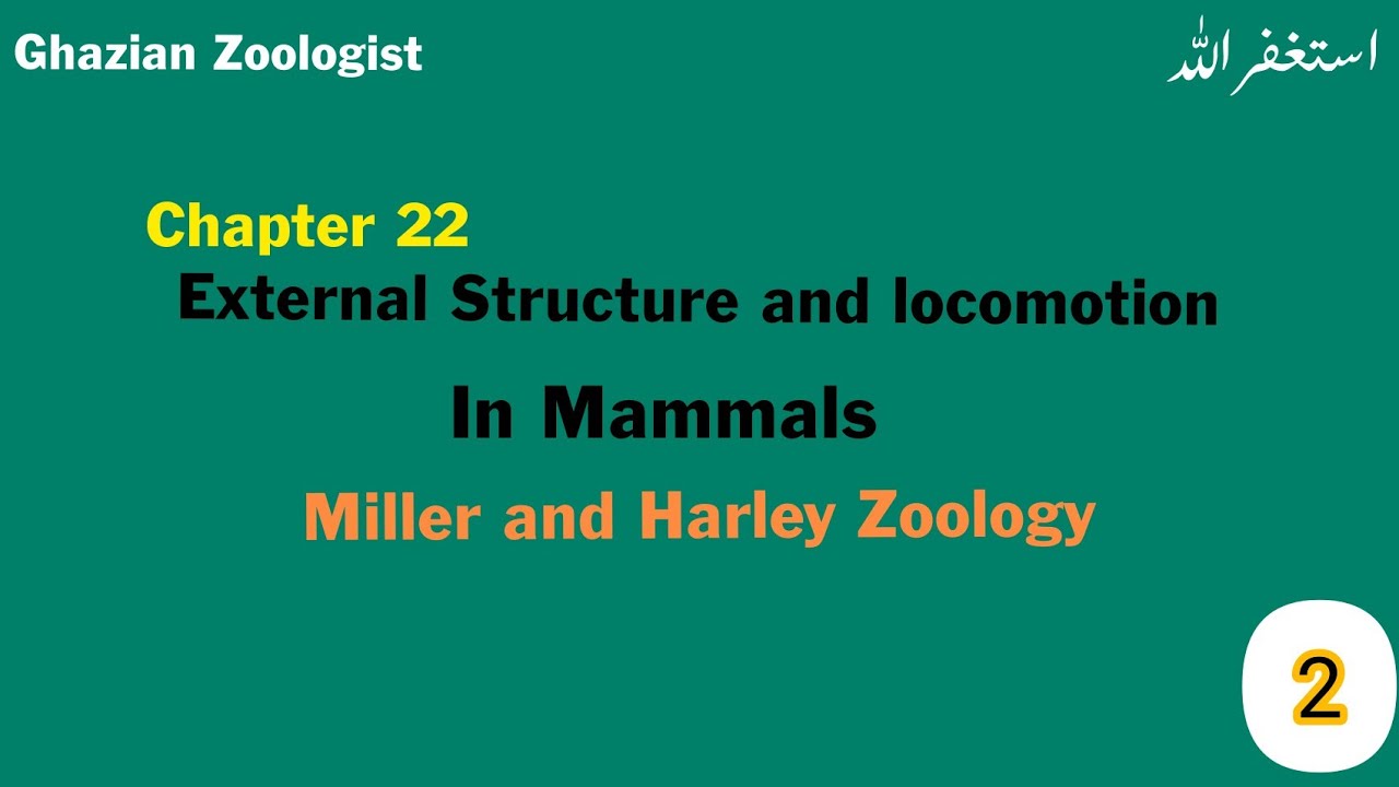 External Structure and locomotion in Mammals |Part 2|Miller and Harley ...