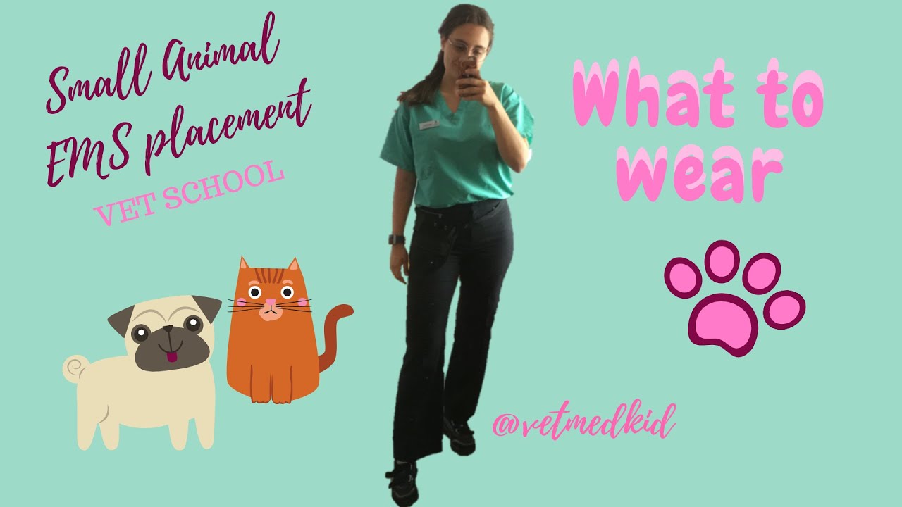 SMALL ANIMAL EMS PLACEMENT | what to wear - YouTube