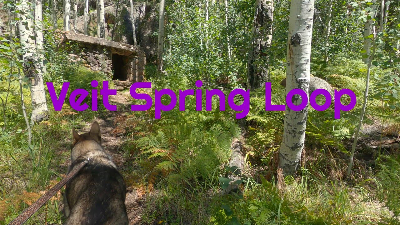 Veit Spring Loop, Flagstaff, Arizona - YouTube