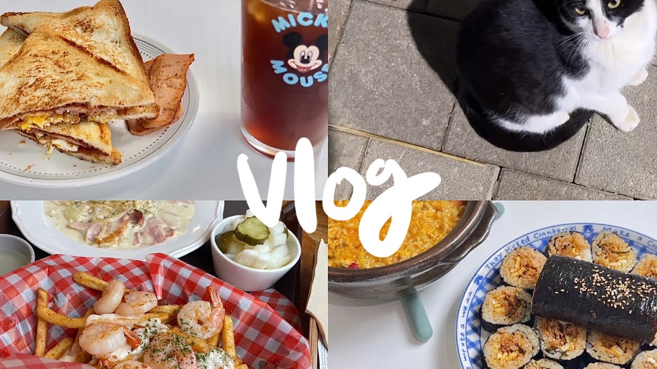 Vlog 중기 임산부의 집밥 요리모음 참치김치 김밥 길고양이 간택 실패 스팸 샌드위치 약밥만들기 삼겹살 콘치즈