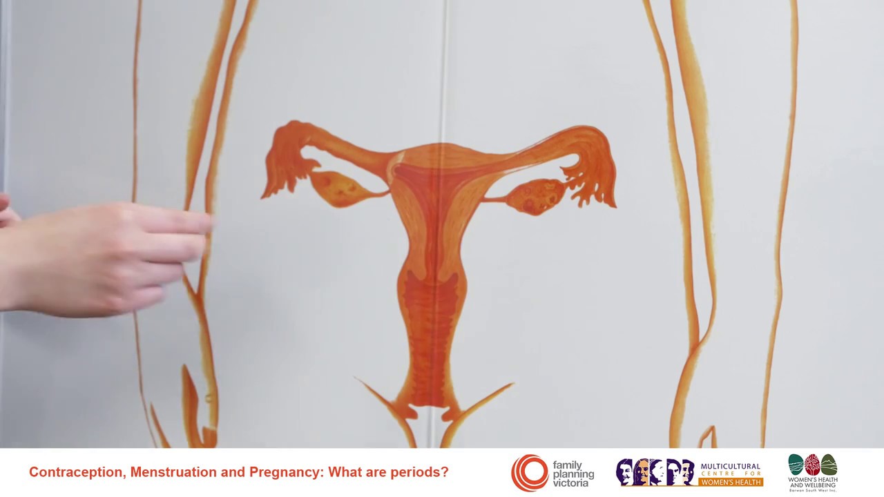 What are periods? - English - YouTube