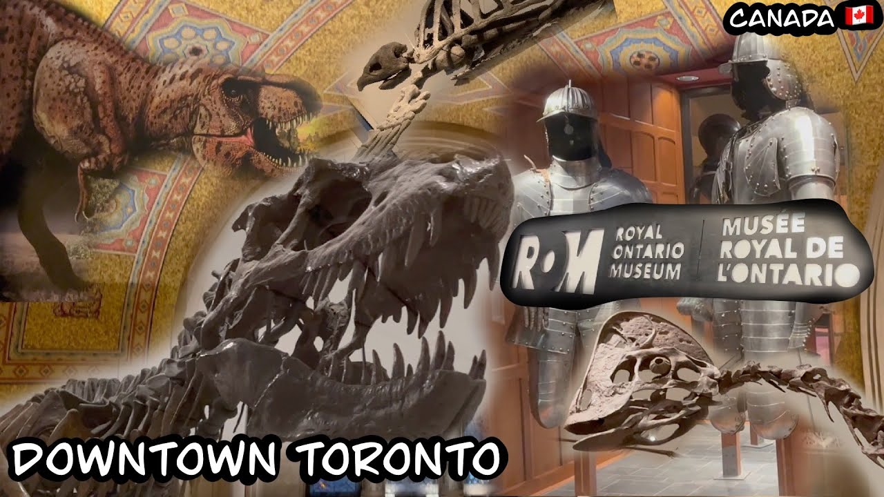🛤️A visit to the 🌟Royal Ontario Museum (ROM) | Dinosaurs 🦕 |- Toronto ...
