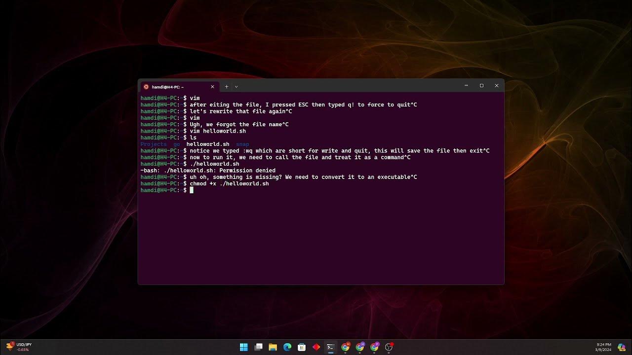 Write a hello world shell script using vim - YouTube