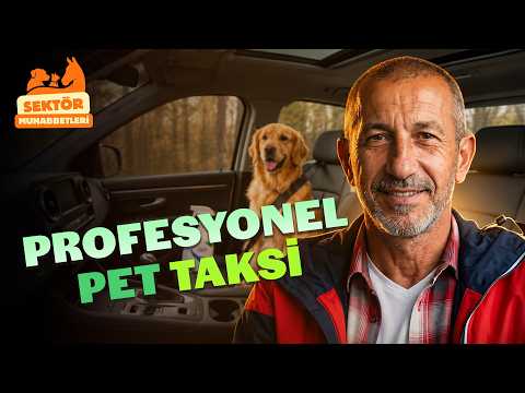 Köpek Transferi ve Pet Taksi İşletmeciliği | Süleyman Mercan'ın Deneyimleri