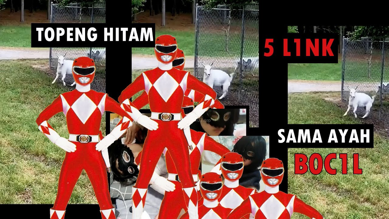 Peliharaan motif topeng hitam || diajak main setiap hari - YouTube