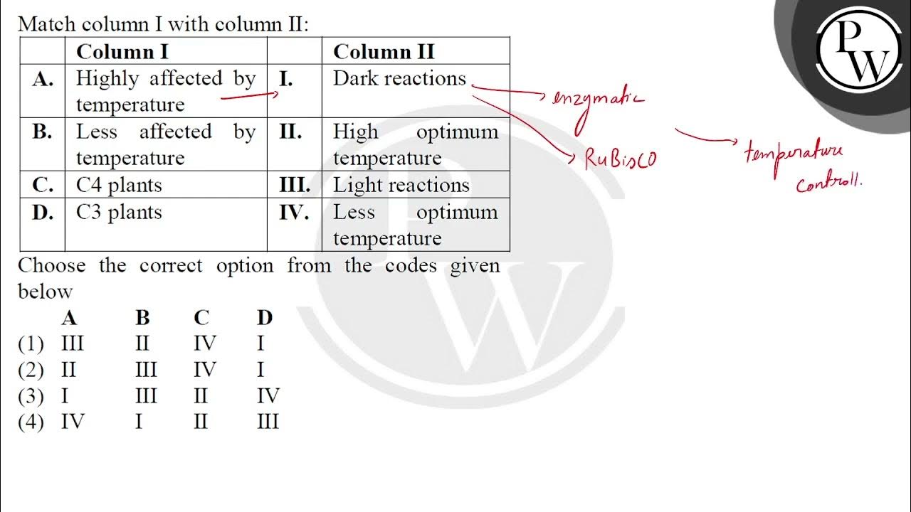 Match column I with column II: \begin{tabular}{|l|l|l|l|} \hline & Column I & & Column II \\ \hl ...