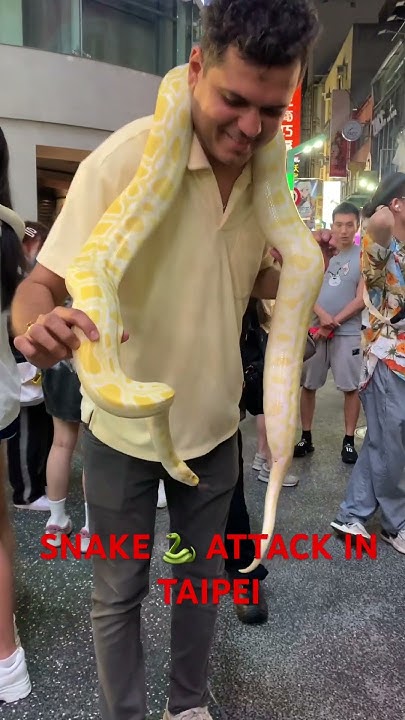 Snake Attack In Taiwan 🇹🇼 #taiwan #trending #snake #anaconda #video # ...