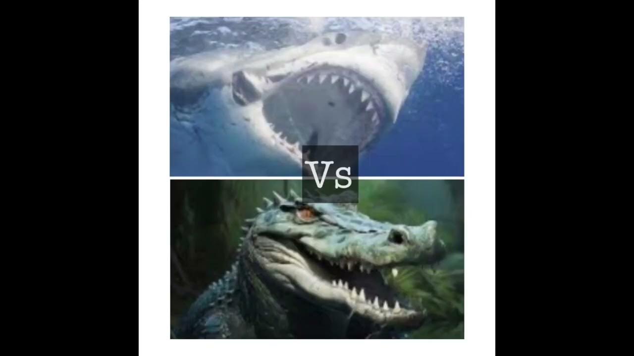 GREEN ANACONDA VS SALTWATER CROCODILE, GREAT WHITE SHARK, ORCA - YouTube