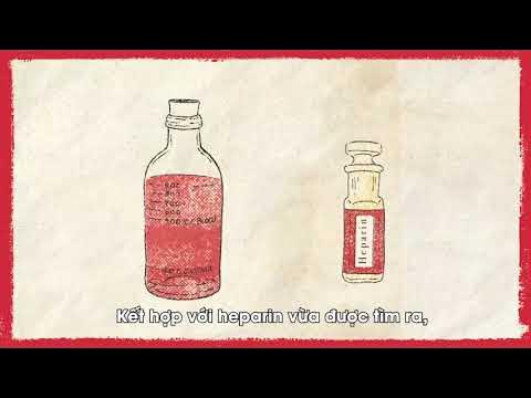 MÁU ĐƯỢC TRUYỀN NHƯ THẾ NÀO? | How do blood transfusions work - Bill ...