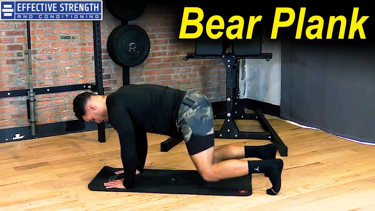 Bear Plank by Blake Roberts - YouTube