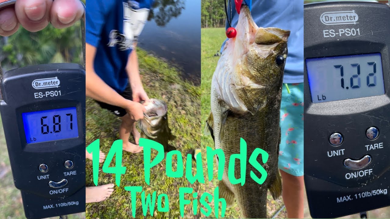 14 pounds two fish - YouTube