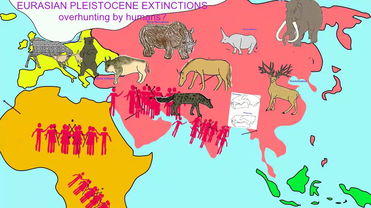 PLEISTOCENE EXTINCTIONS IN EURASIA - YouTube