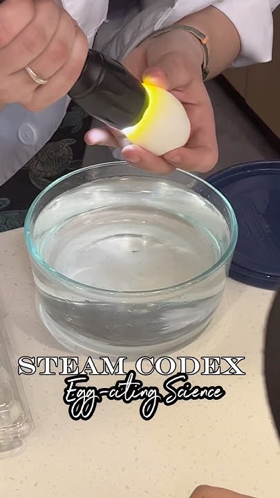 STEAM Egg-citing Science | Balkan Kids Club - YouTube