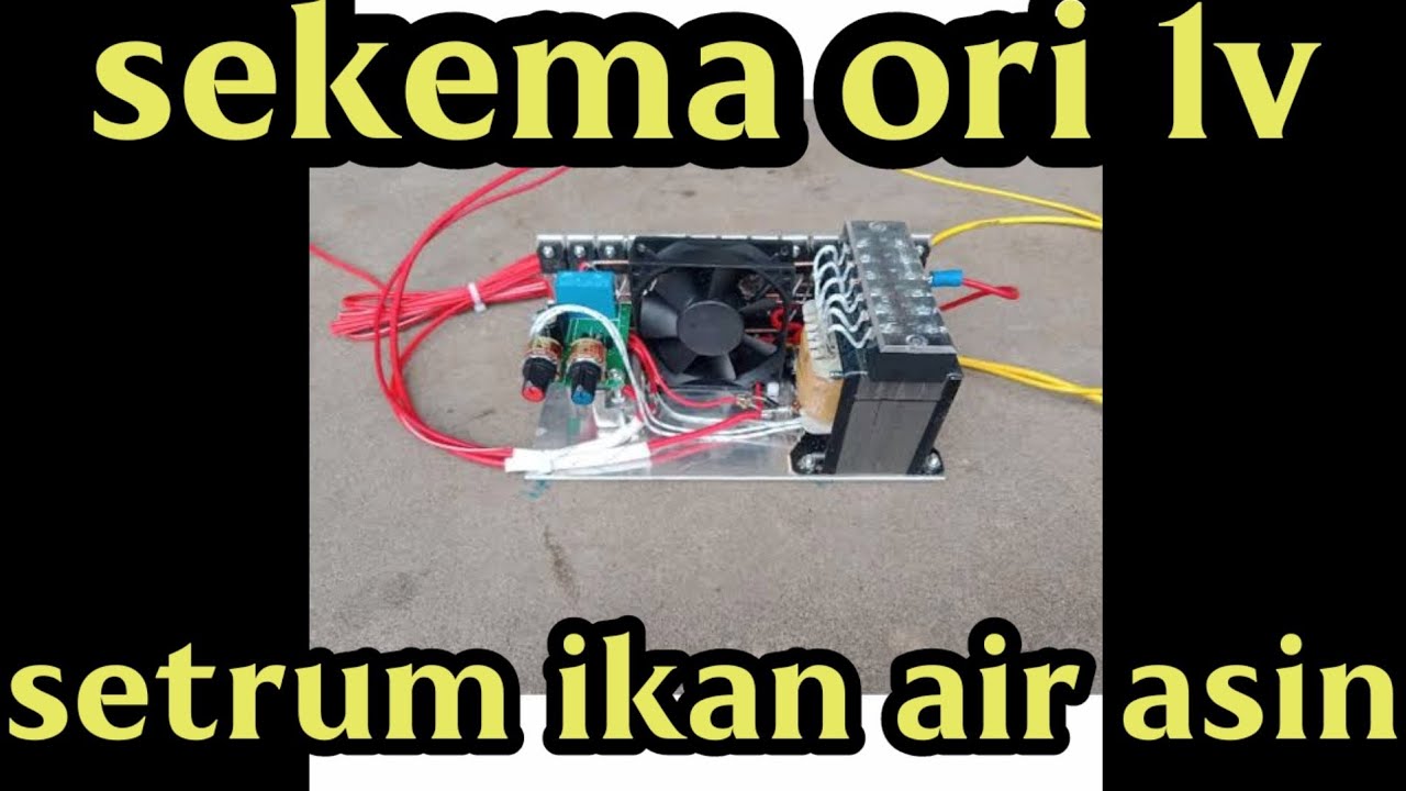 SETRUM IKAN AIR ASIN‼️SEKEMA SETRUM IKAN AIR ASIN - YouTube