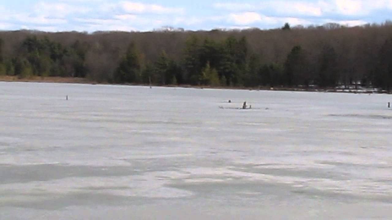 2015 Shaggers Inn Wildlife Refuge - YouTube