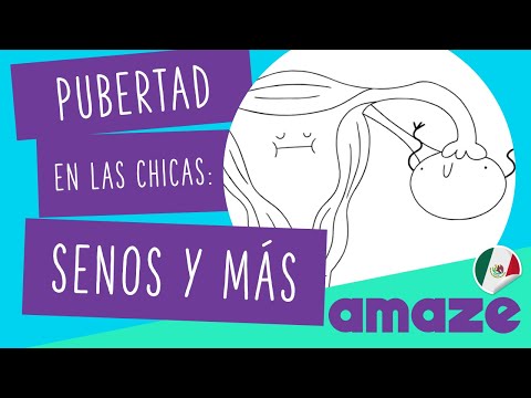 Pubertad en las chicas: senos y más (México)