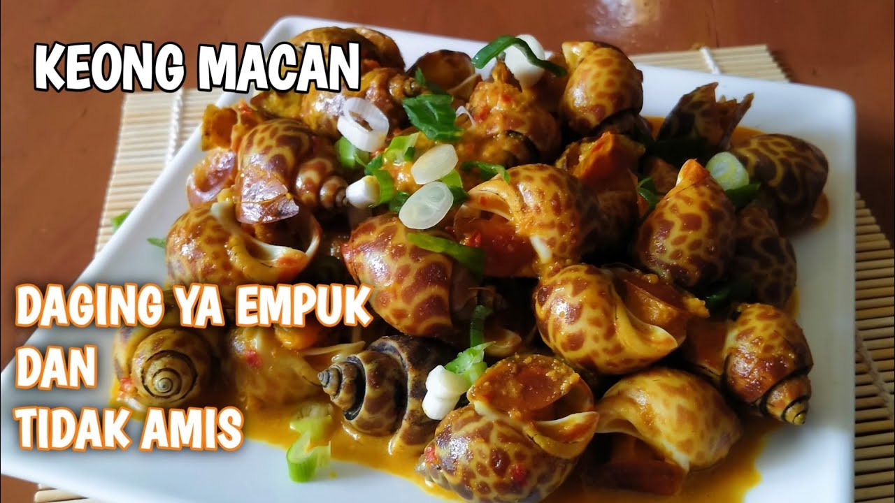 PERTAMA KALI MASAK KEONG MACAN LANGSUNG LUDES [Dagingnya empuk dan ...