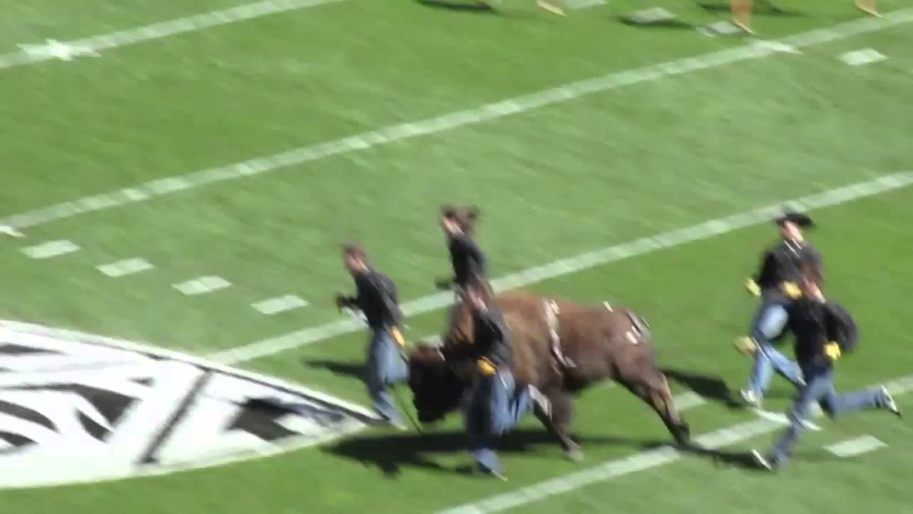 Run Ralphie Run 2015 - YouTube