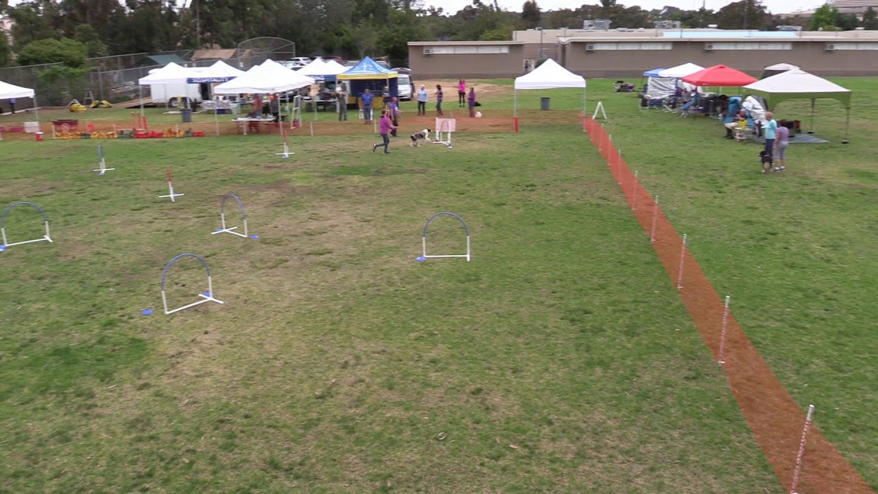 Solea All Around NATCH 5 19 18 - YouTube