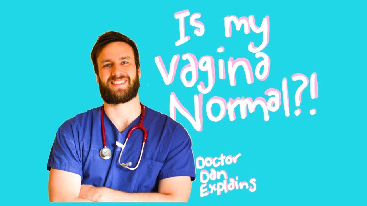 IS MY VAGINA NORMAL?! Normal female anatomy explained - YouTube