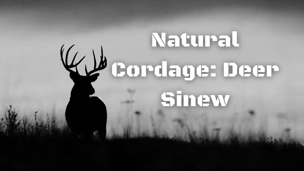 Green Beret Guide to Crafting Natural Cordage: Deer Sinew & Reverse ...