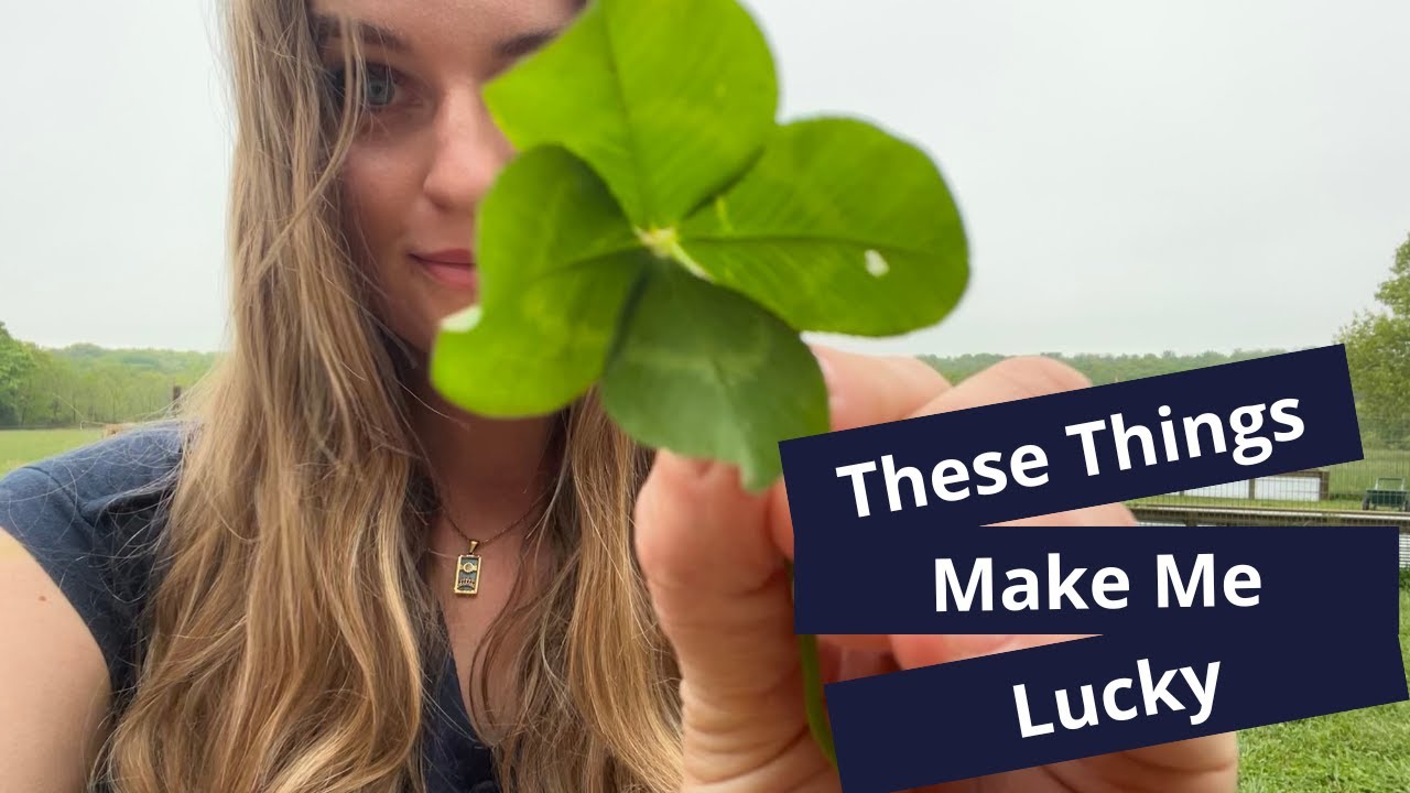 6 factors that bring fortune: what nature and 4 leaf clover can teach ...