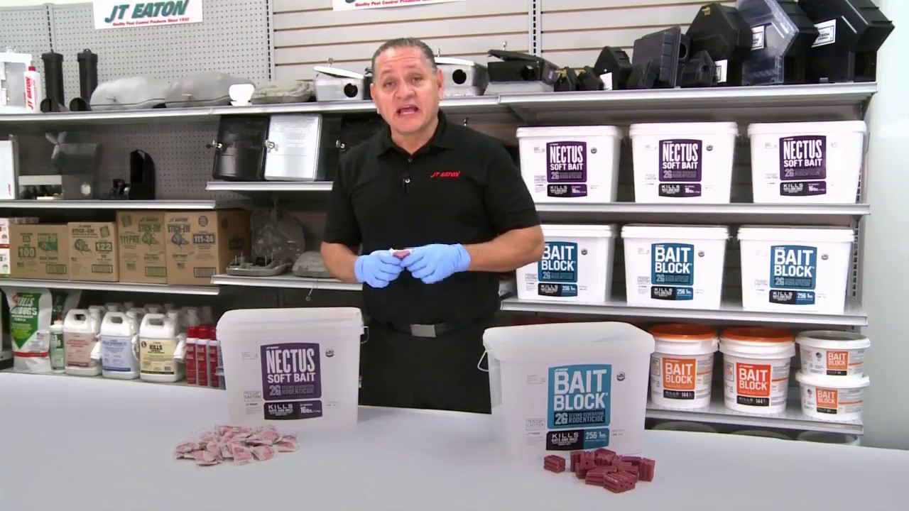 Introducing the JT Eaton Nectus Soft Bait - YouTube