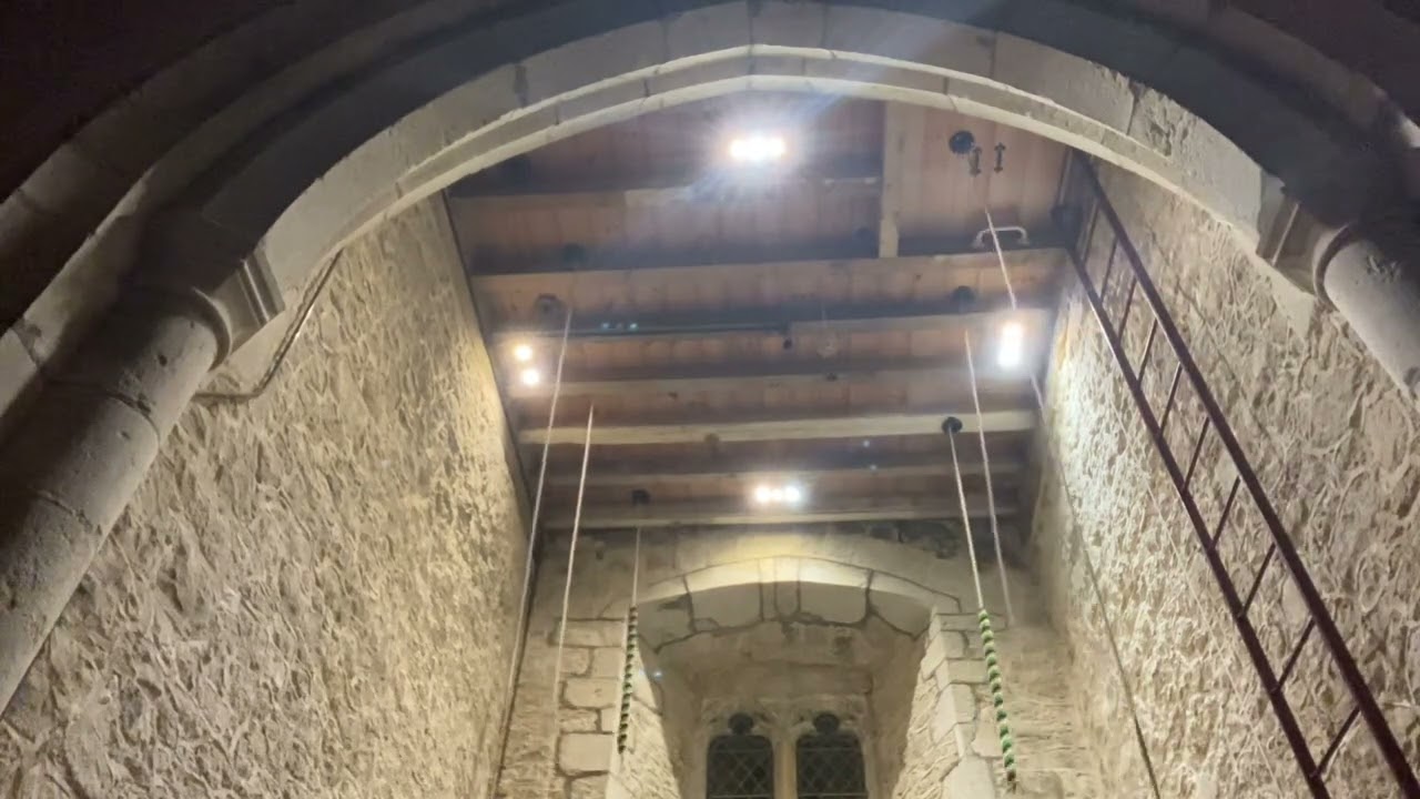 Broomfield, Kent. Wed 26th Jan 2022, 1260 Stedman Doubles. Birthday ...