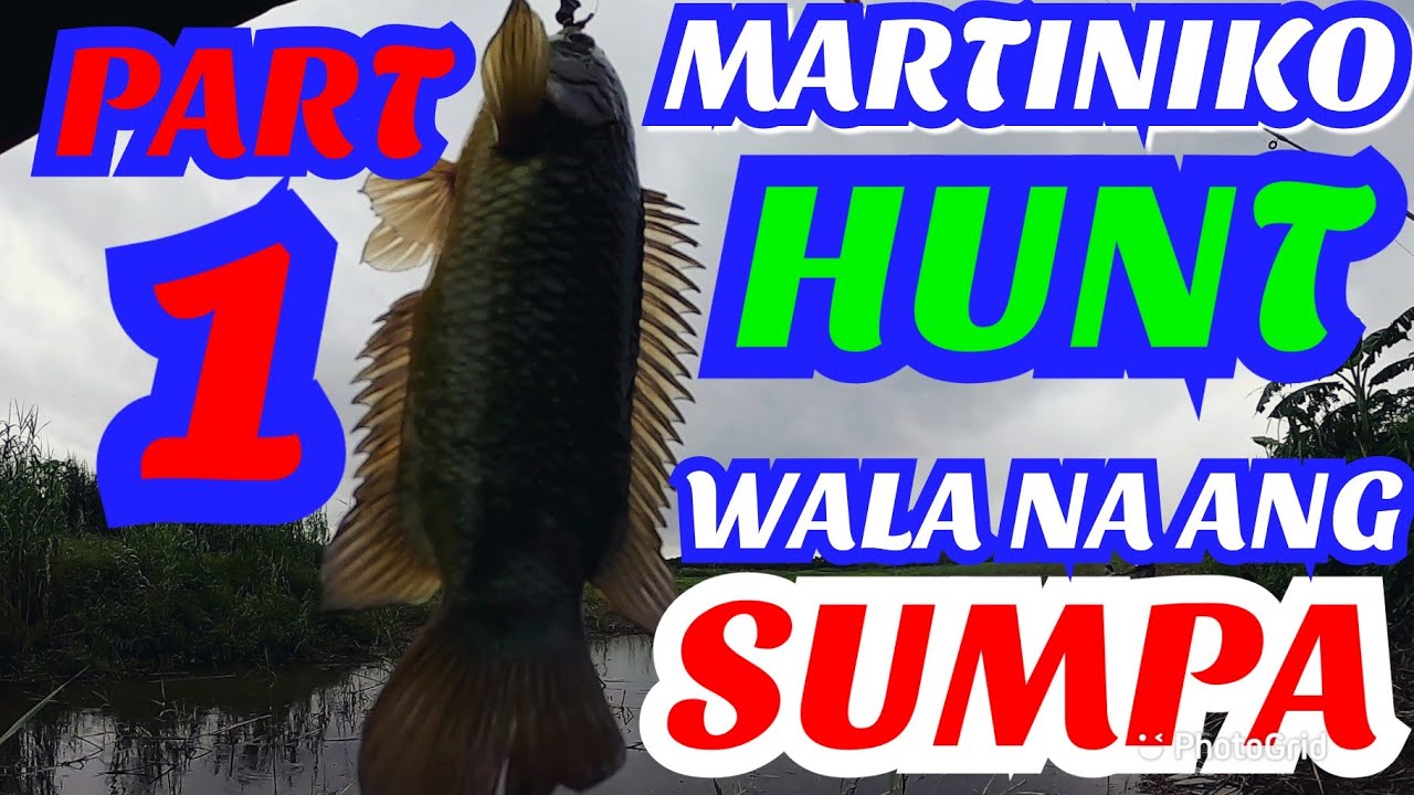 #Martiniko #liwalo #climbingperch FISHING MARTINIKO / LIWALO / CLIMBING ...