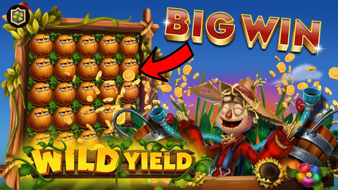 BIG WIN NEW ONLINE SLOT 🔥 WILD YIELD 🔥 RELAX GAMING - ALL FEATURES - YouTube