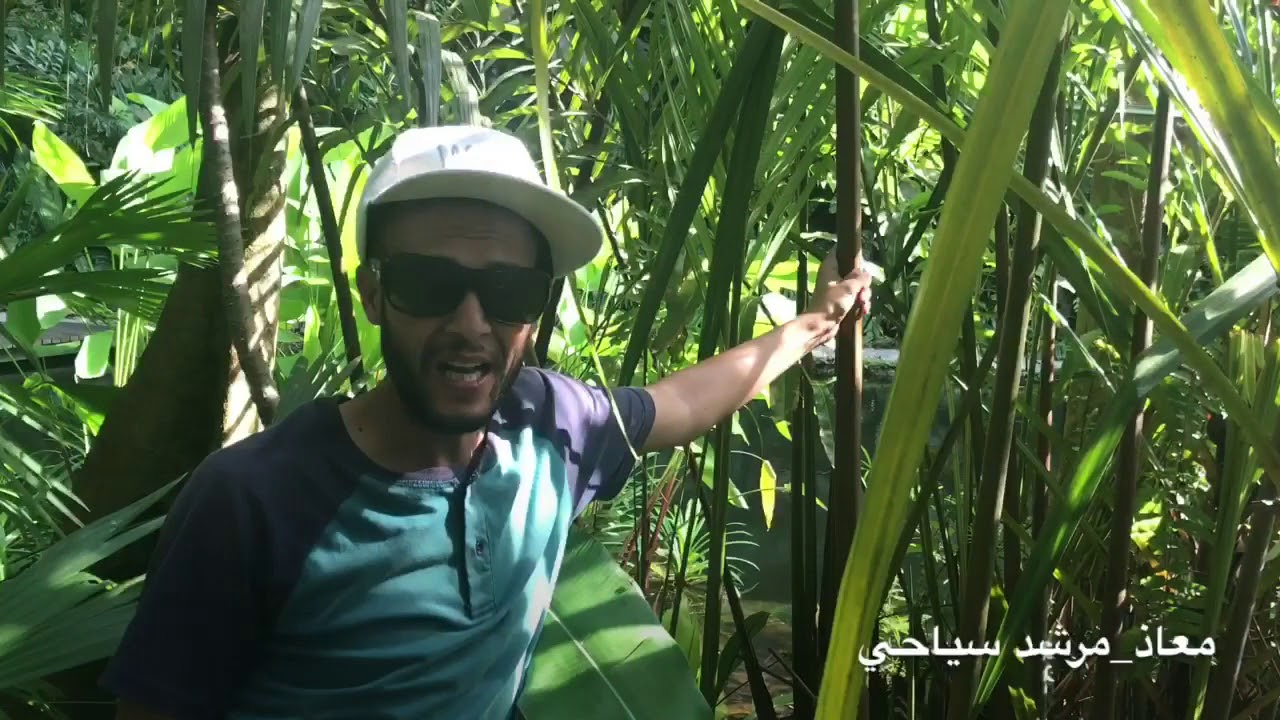 ماليزيا في عيون سائح عماني Youtube