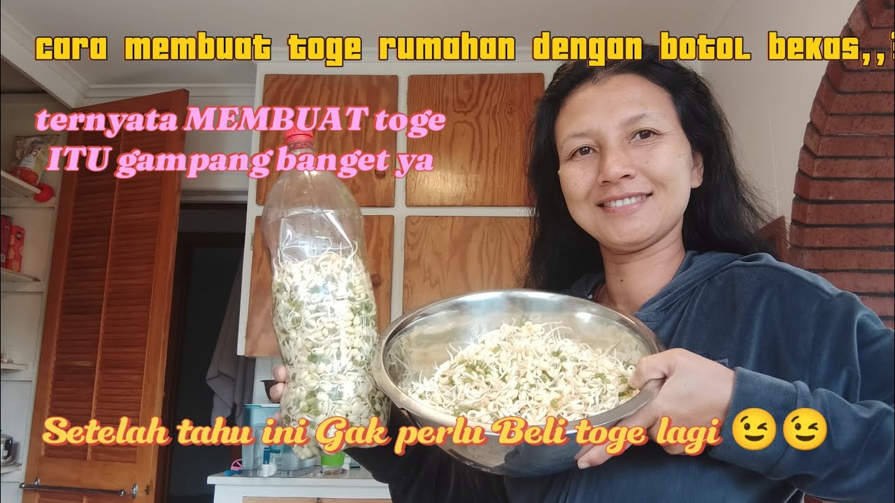 Membuat toge dirumah gampang banget || How to make mung bean sprouts at ...