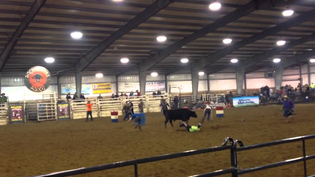 Night at the Rodeo - Bull Hockey - YouTube