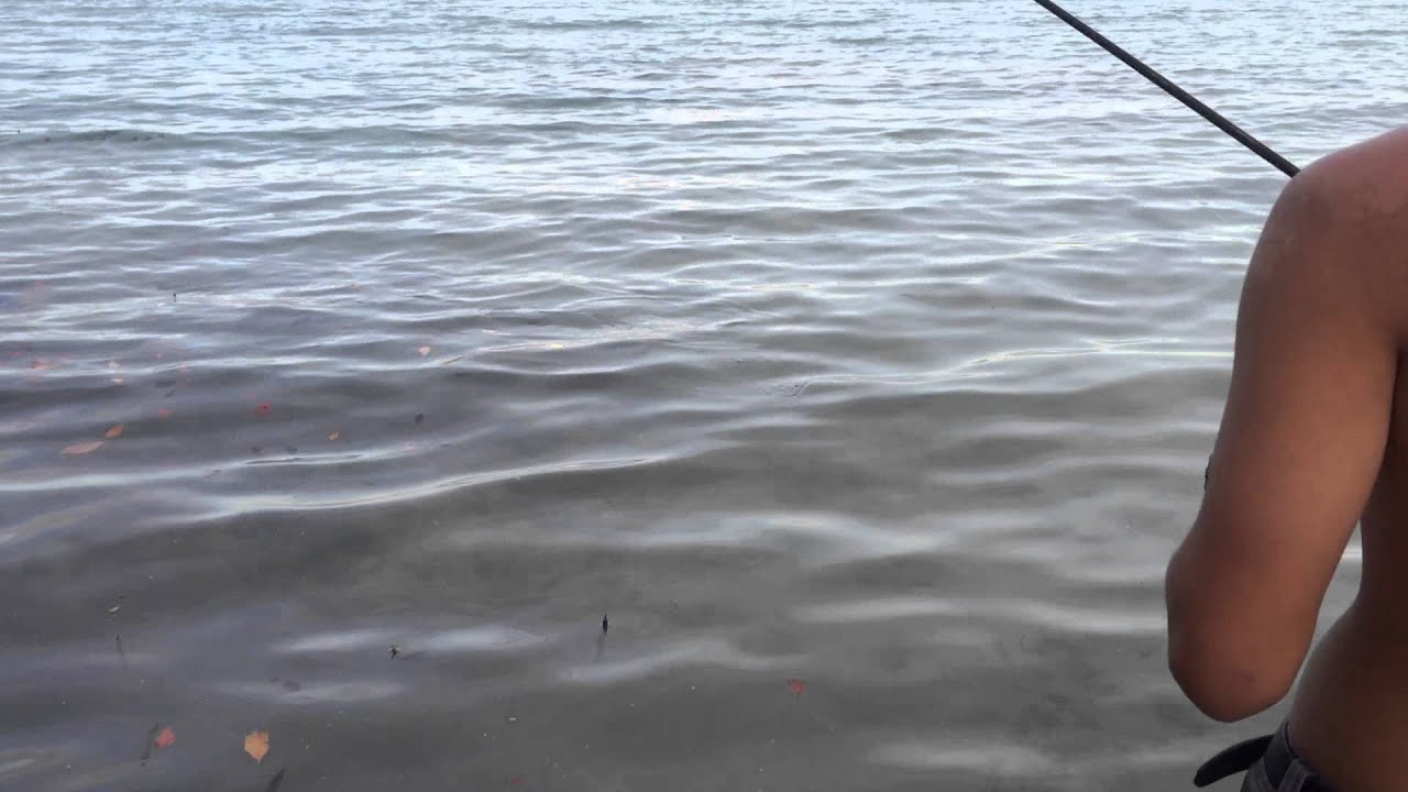 Oio fishing Hawaii #2 - YouTube