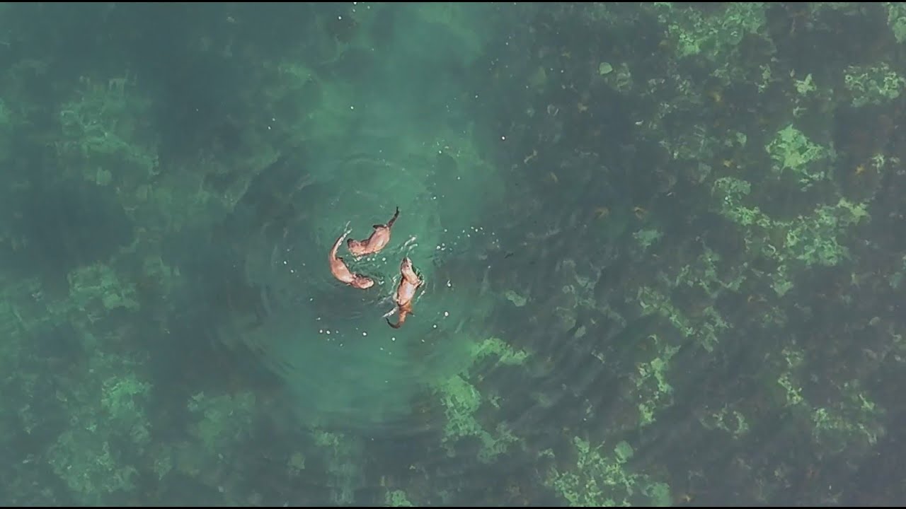 Video Gallery | Scott Masterton | Fascinating Light Photography